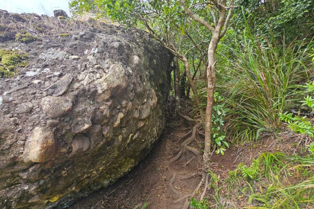 Duke's Nose Track - Freewalks.nz