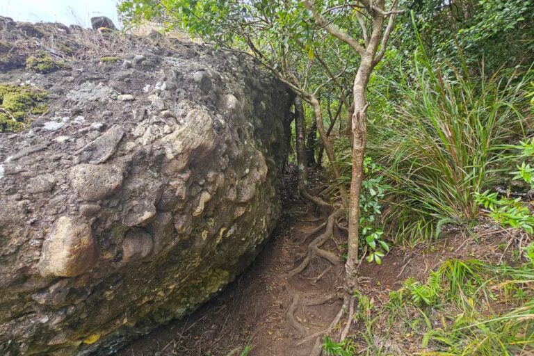 Duke's Nose Track - Freewalks.nz