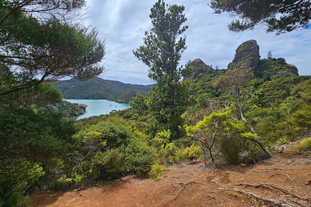 Duke's Nose Track - Freewalks.nz