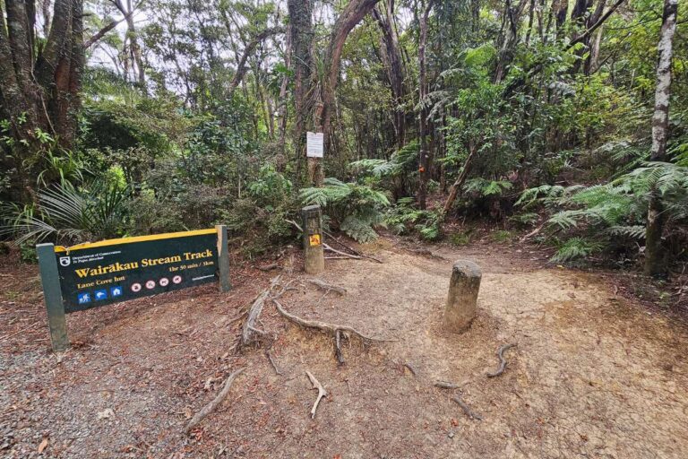 Wairakau Stream Track - Freewalks.nz