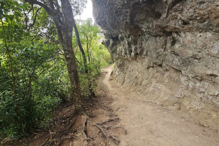 Duke's Nose Track - Freewalks.nz