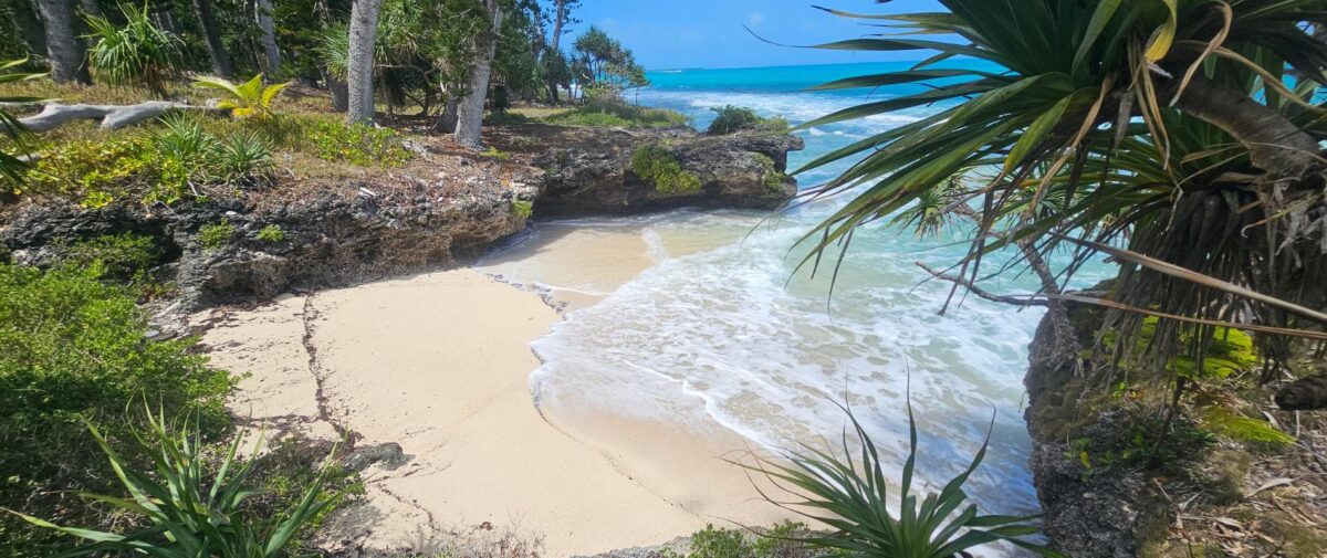 New Caledonia Walks - Freewalks.nz