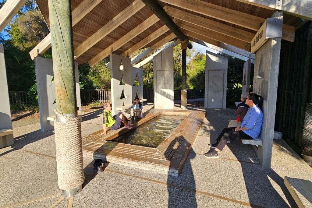 Kuirau Park Loop Walk - Freewalks.nz