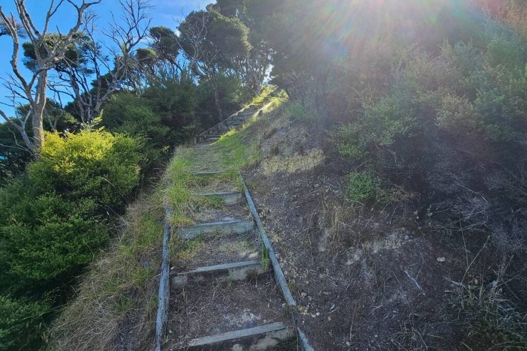 Cliff Pa Loop Walk - Urupukapuka Island - Freewalks.nz