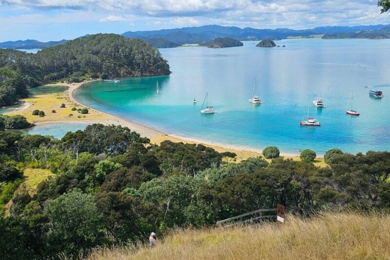 Roberton Island Lookout - Freewalks.nz
