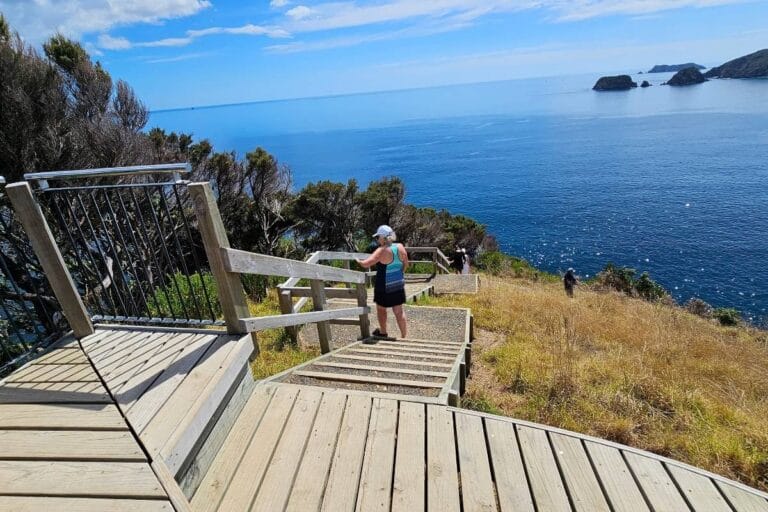 Roberton Island Lookout - Freewalks.nz