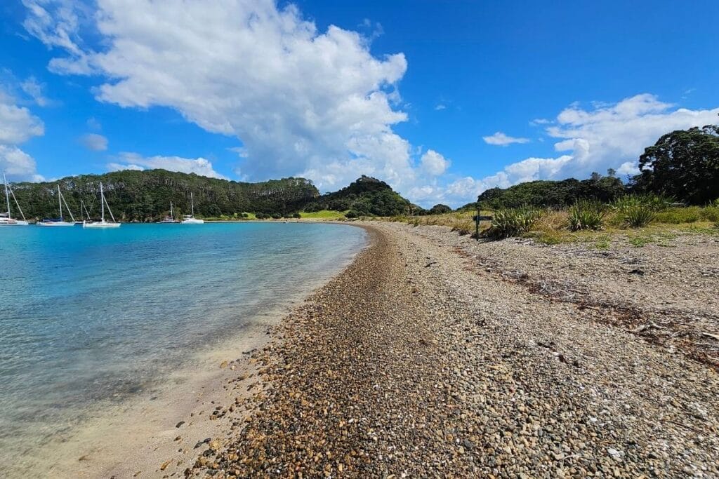 Roberton Island Lookout - Freewalks.nz
