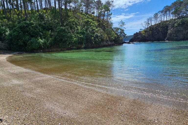 Roberton Island Lookout - Freewalks.nz