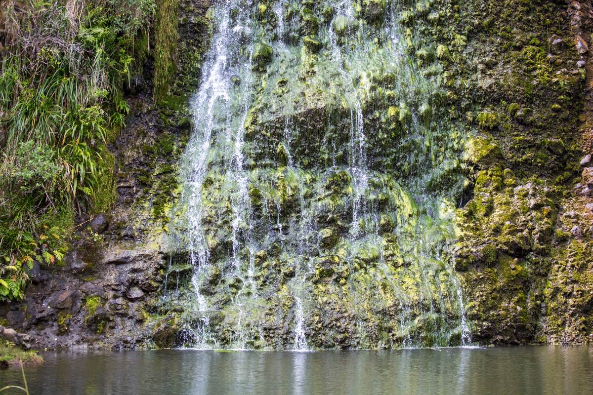 32 Best Waterfall Walks in New Zealand