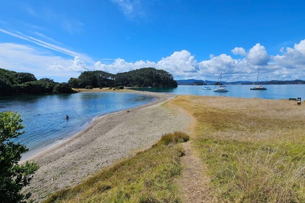 Roberton Island Lookout - Freewalks.nz