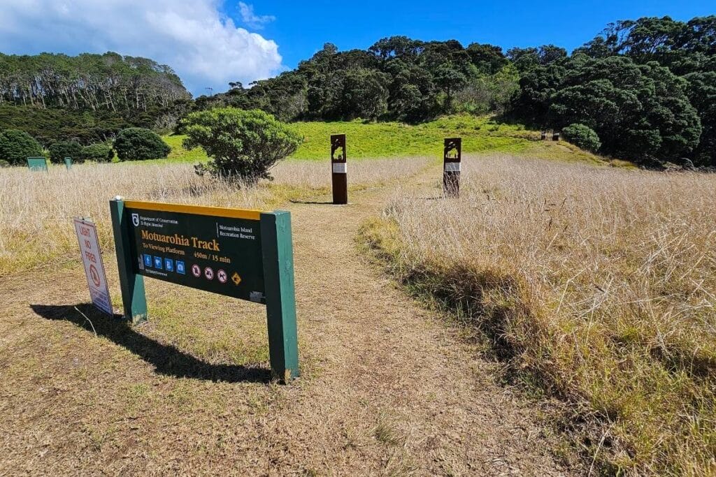 Roberton Island Lookout - Freewalks.nz