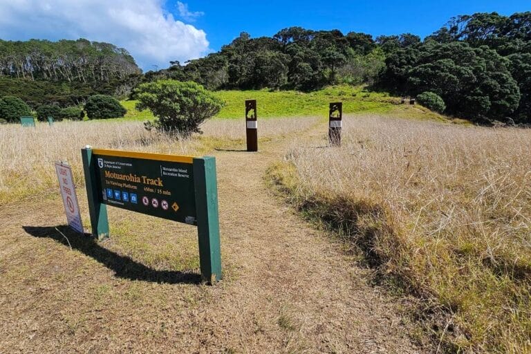 Roberton Island Lookout - Freewalks.nz
