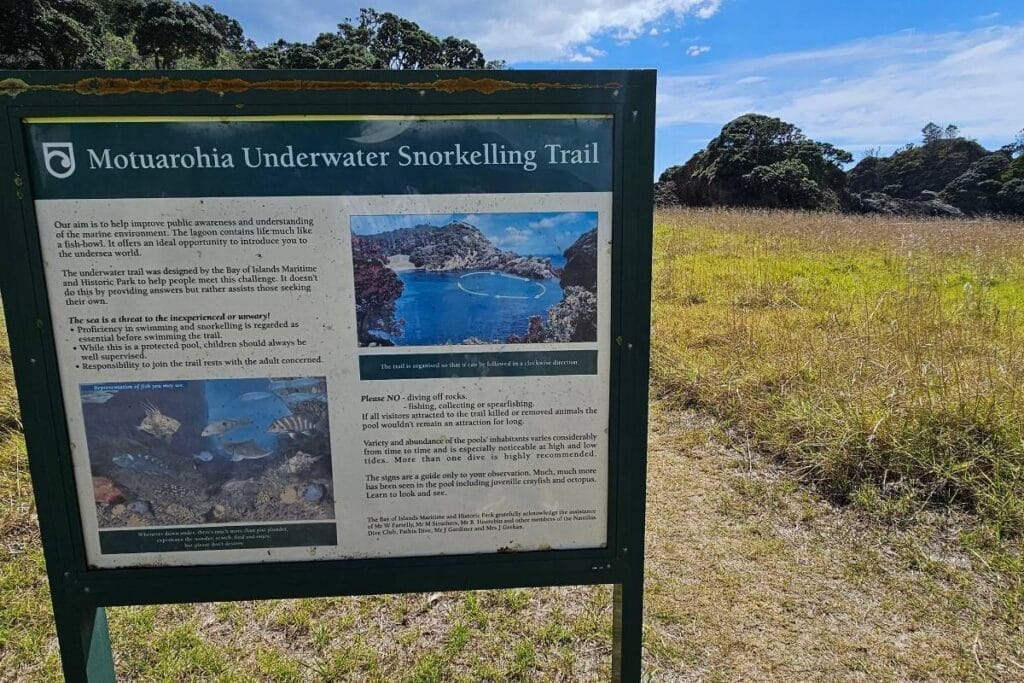 Roberton Island Lookout - Freewalks.nz