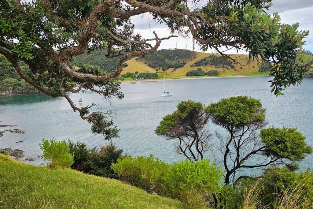 Otehei Bay and Cable Bay Loop - Urupukapuka Island - Freewalks.nz