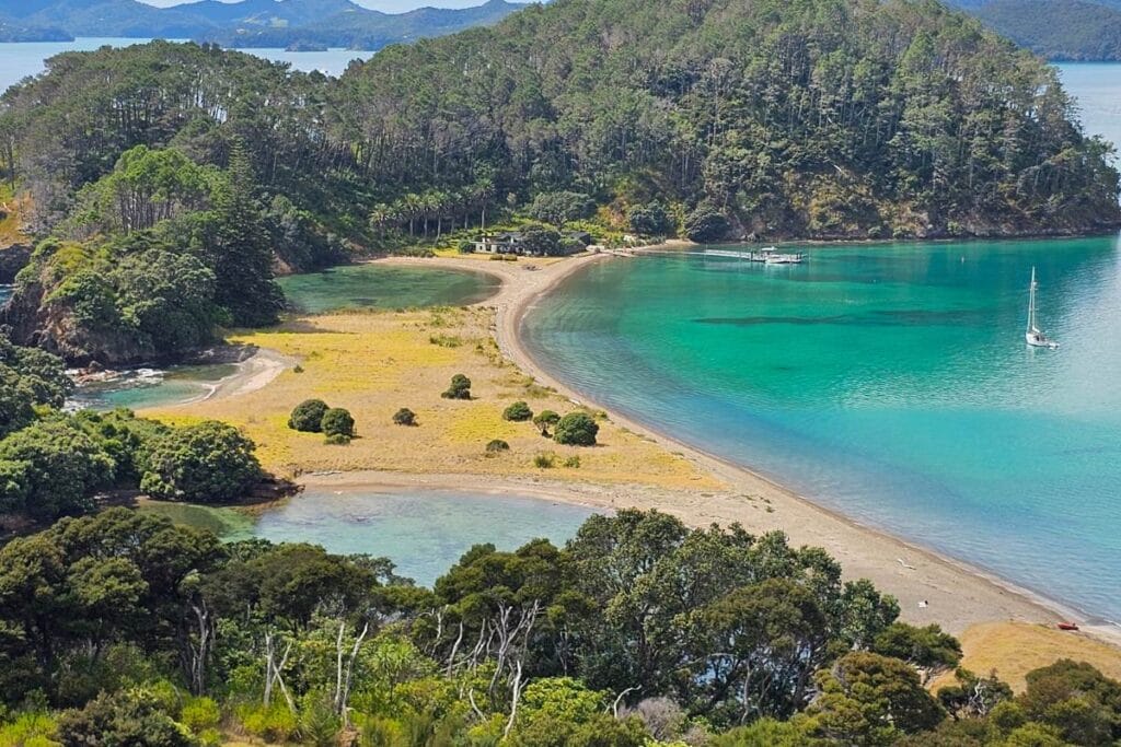 Roberton Island Lookout - Freewalks.nz