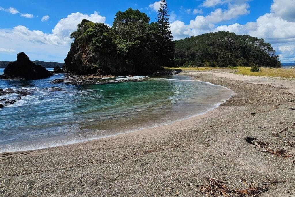 Roberton Island Lookout - Freewalks.nz