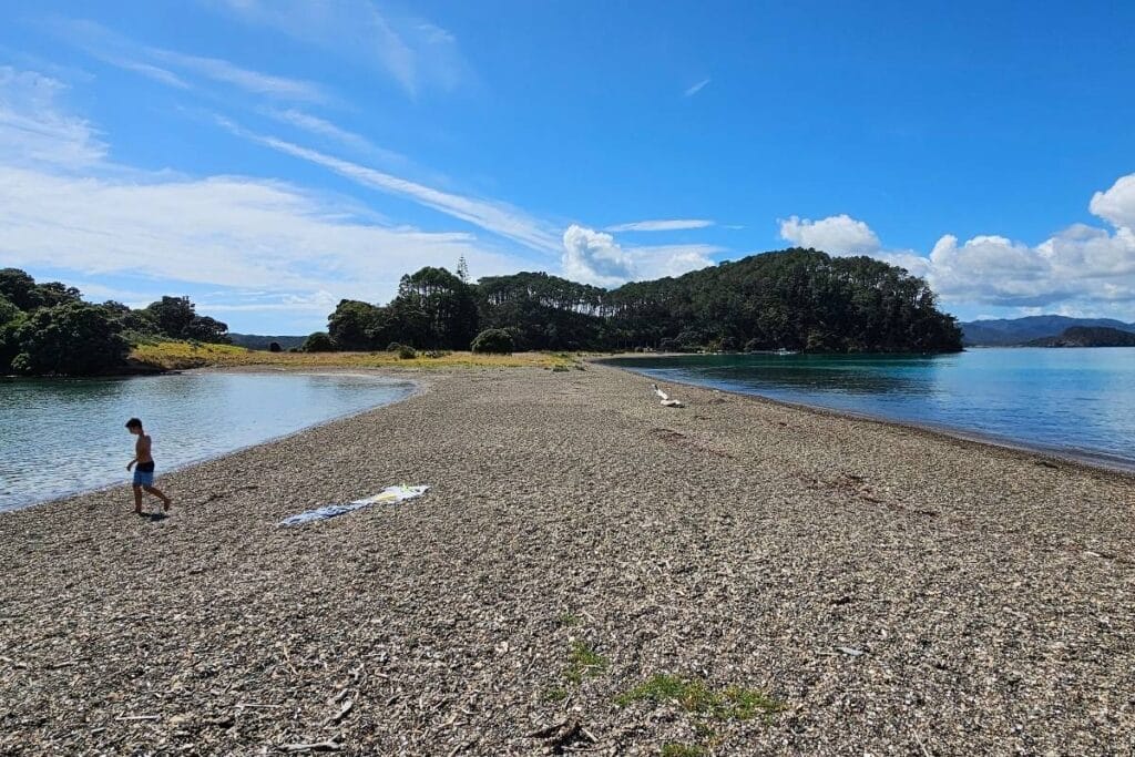 Roberton Island Lookout - Freewalks.nz