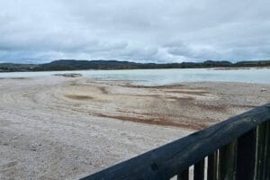 Rotorua Lakefront & Sulphur Point Loop Walk - Freewalks.nz