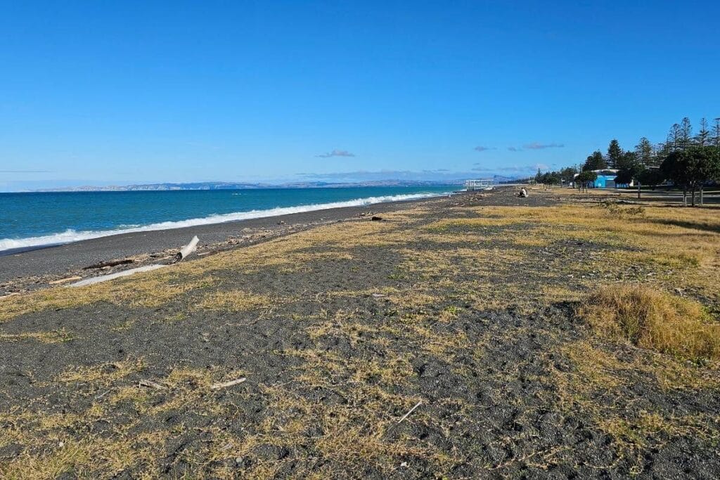 Bluff Hill Lookout Loop Walk - Freewalks.nz