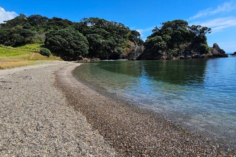 Roberton Island Lookout - Freewalks.nz