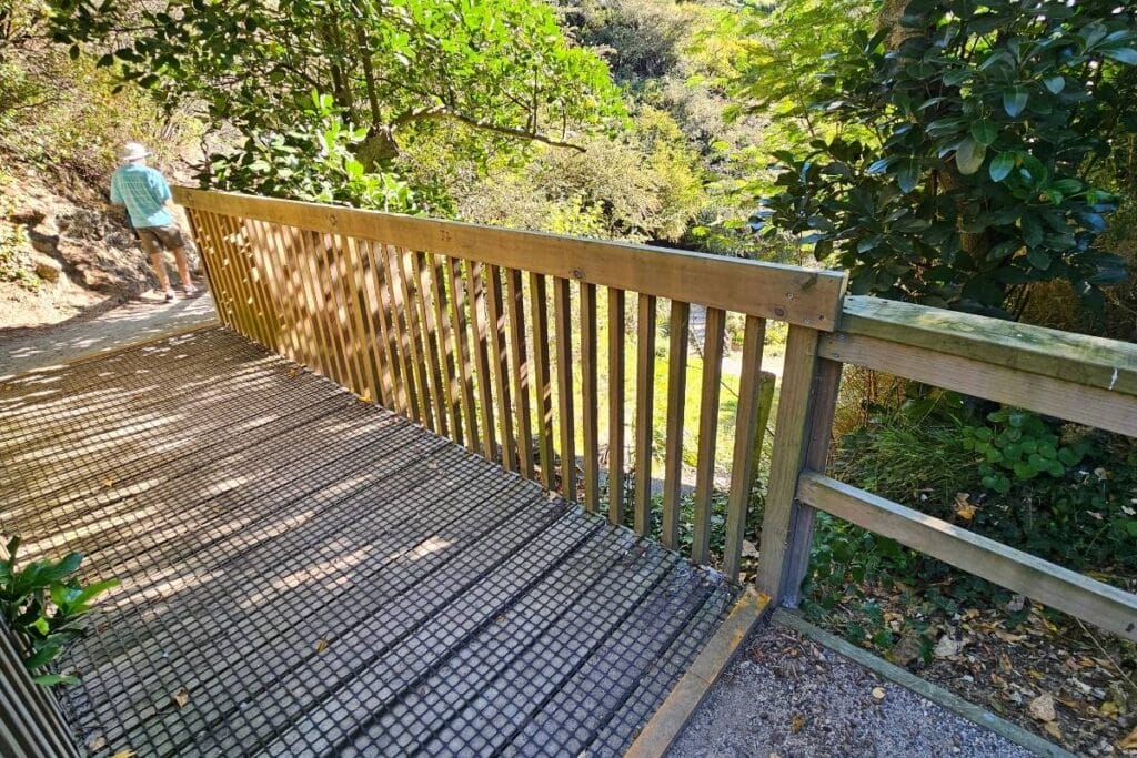 Bluff Hill Lookout Loop Walk - Freewalks.nz