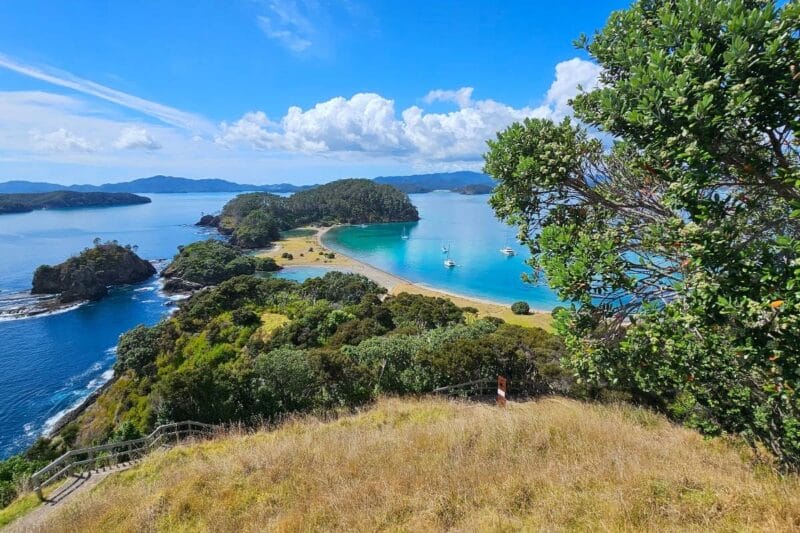 Roberton Island Lookout - Freewalks.nz
