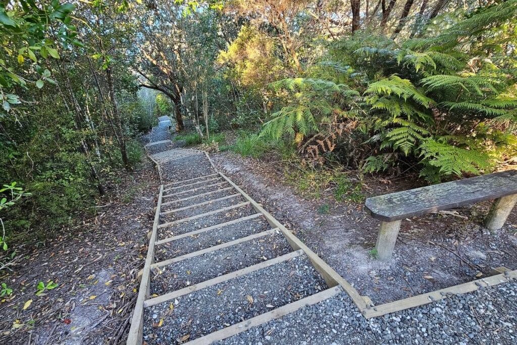Highfield Garden Reserve Donkey Park and Algies Bay Loop Walk ...