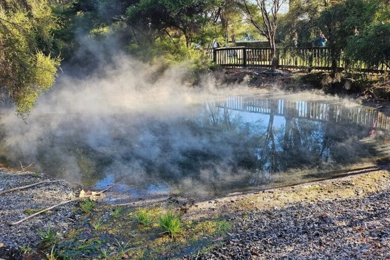 Kuirau Park Loop Walk - Freewalks.nz