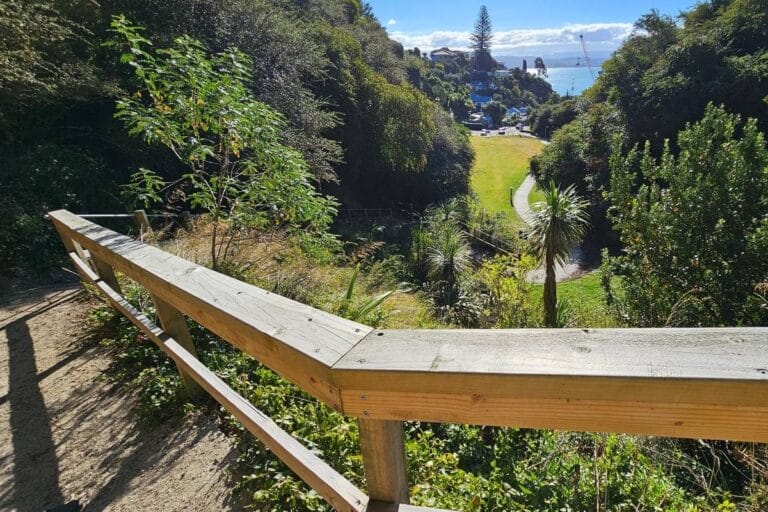 Bluff Hill Lookout Loop Walk - Freewalks.nz