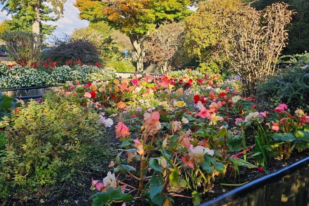 Kuirau Park Loop Walk - Freewalks.nz