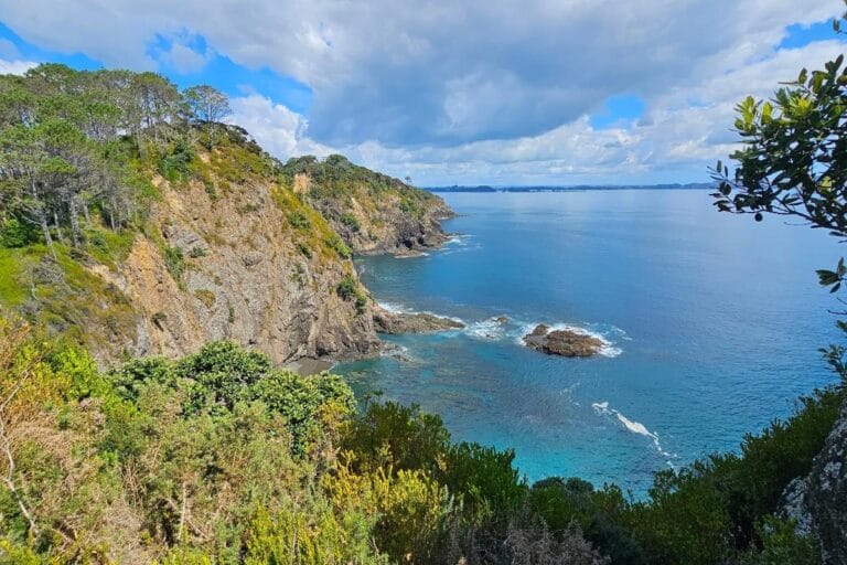 Roberton Island Lookout - Freewalks.nz