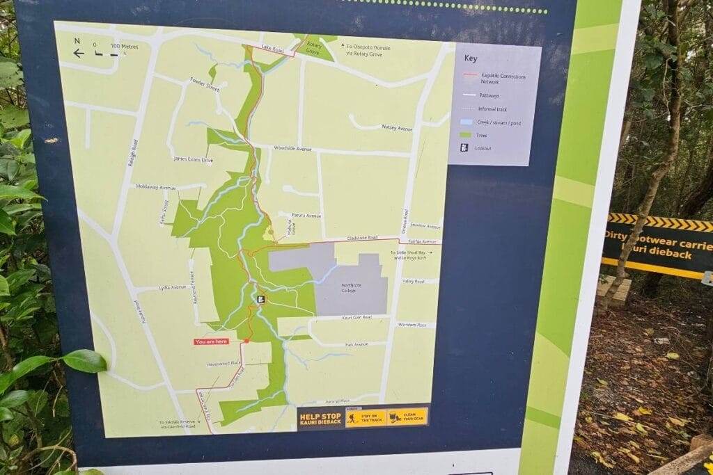 Kauri Glen Treetops Loop Walk - Freewalks.nz