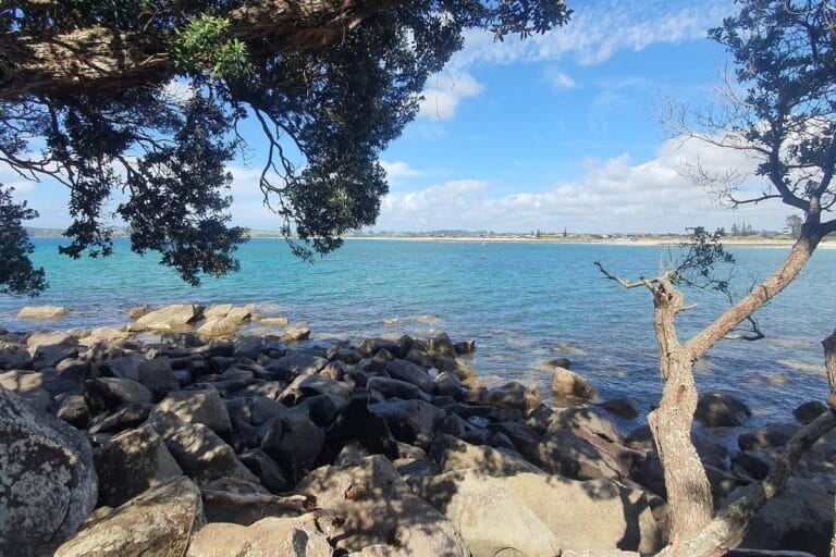 Ti Point Walk - Freewalks.nz