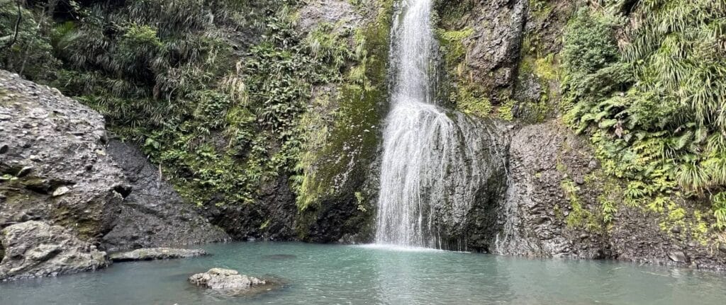 The best walking & hiking tracks in Piha | North Island