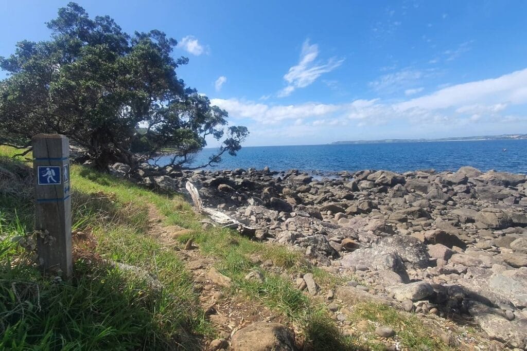 Ti Point Walk - Freewalks.nz