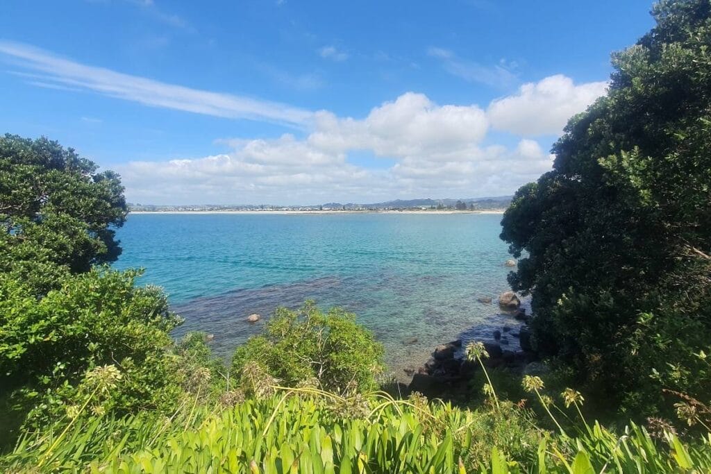 Ti Point Walk - Freewalks.nz
