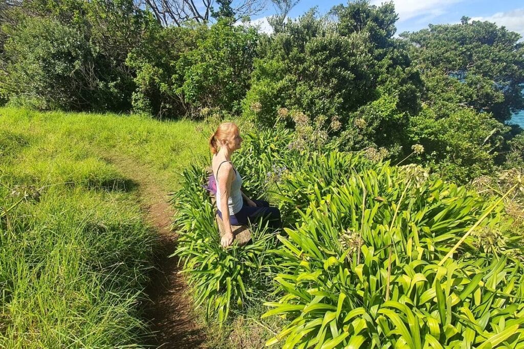 Ti Point Walk - Freewalks.nz