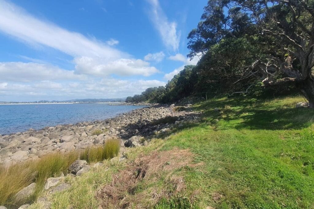 Ti Point Walk - Freewalks.nz