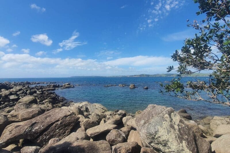 Ti Point Walk - Freewalks.nz