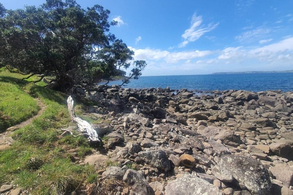 Ti Point Walk - Freewalks.nz