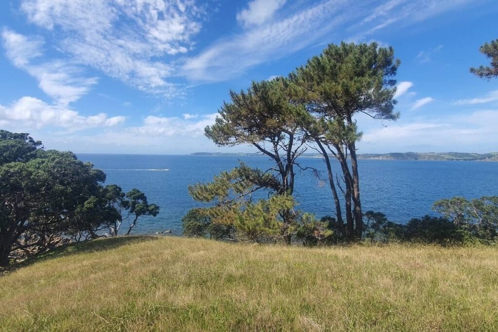 Ti Point Walk - Freewalks.nz
