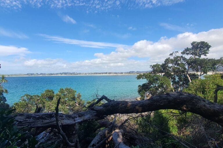 Ti Point Walk - Freewalks.nz