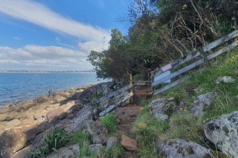 Ti Point Walk - Freewalks.nz