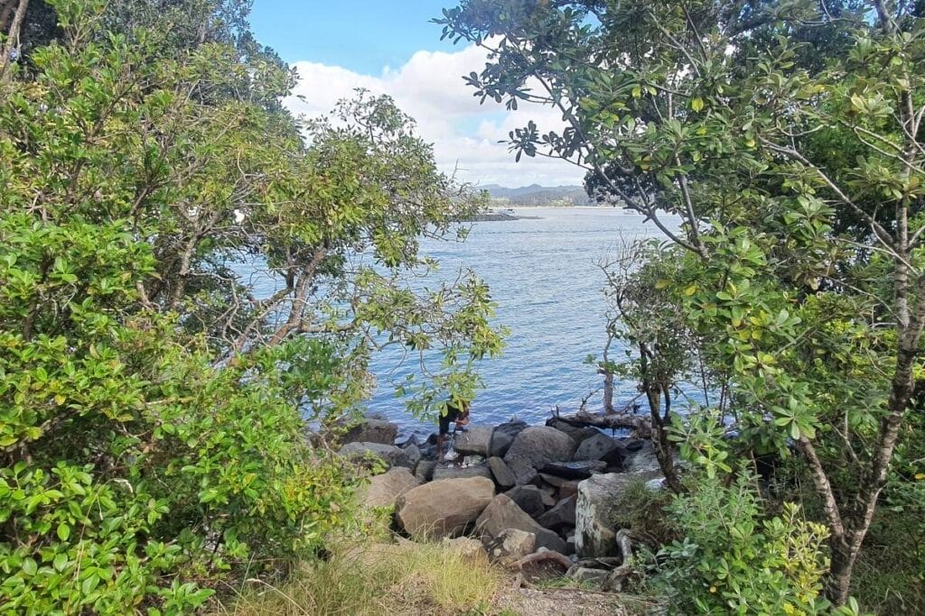 Ti Point Walk - Freewalks.nz
