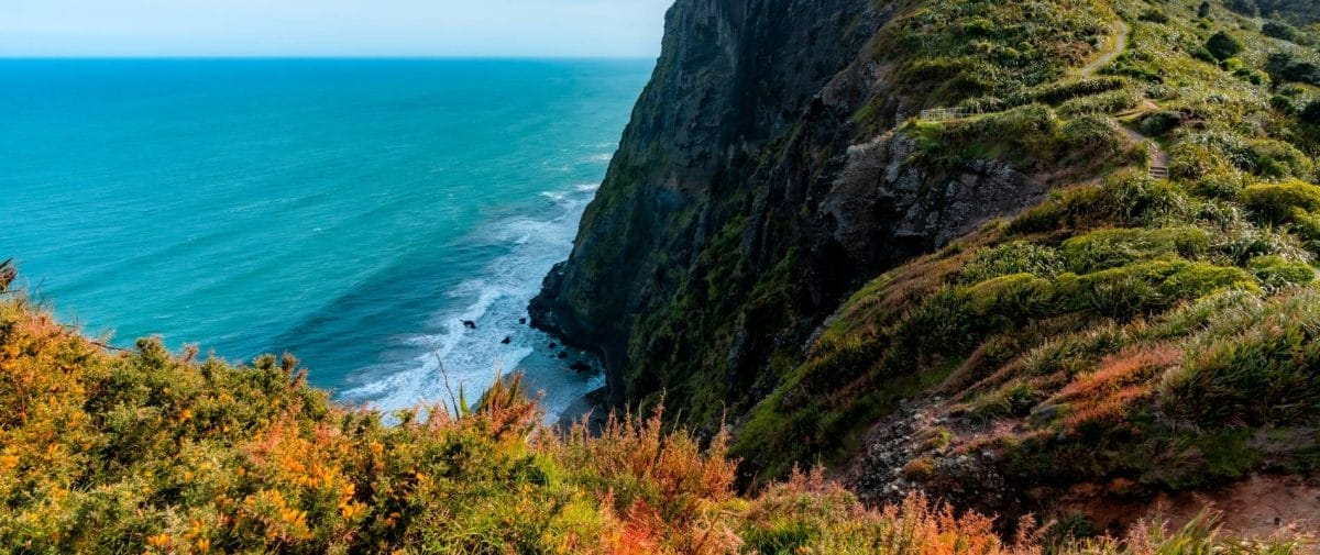 The best walking & hiking tracks in Piha | North Island