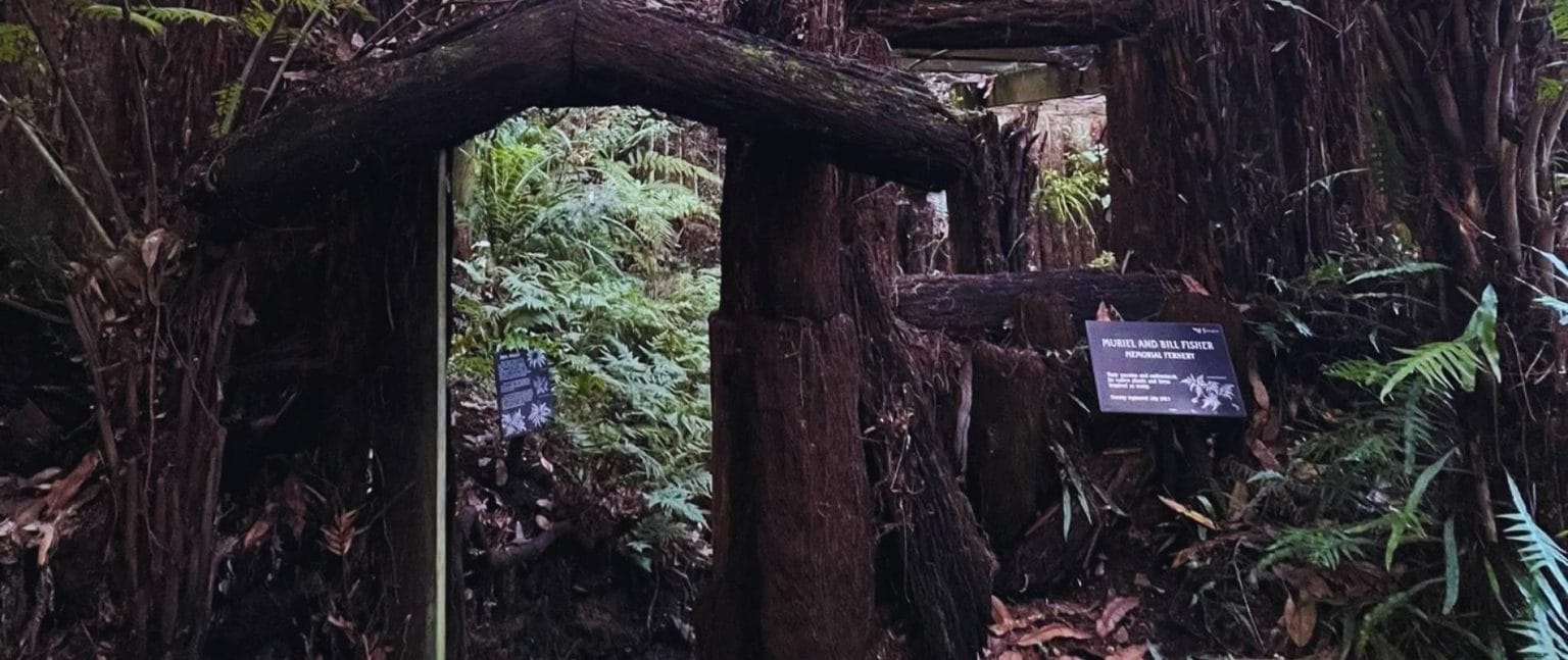 Herald Island Path on the North Shore in Auckland by Freewalks.nz